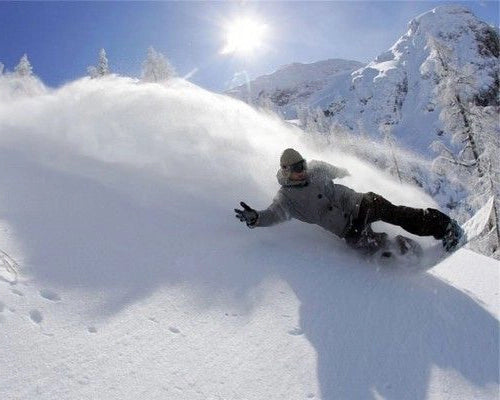 Arbor Snowboards | The Company Behind the Sustainable snowboards ...